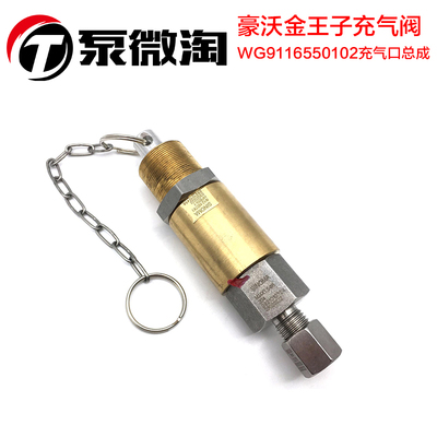 豪沃金王子充气阀 WG9116550102充气口总成 充气阀 CNG天然气配件