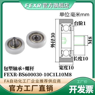 BS600030-10C1L10M8包塑轴承