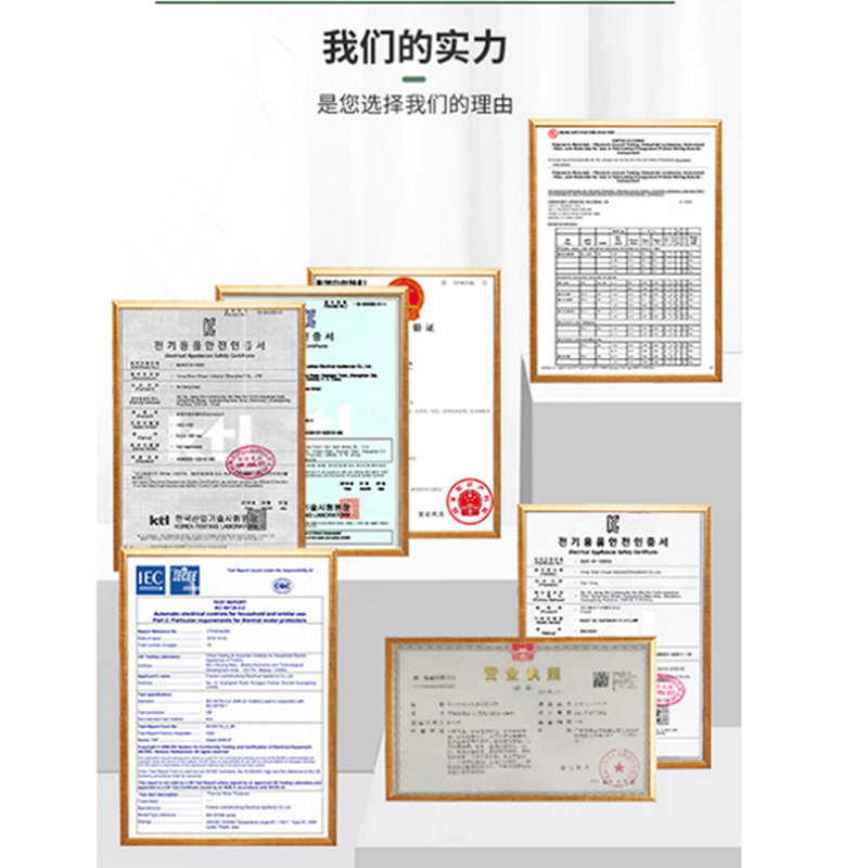 110v迷你豆浆机家用破壁机跨境豆漿機soymilk blender
