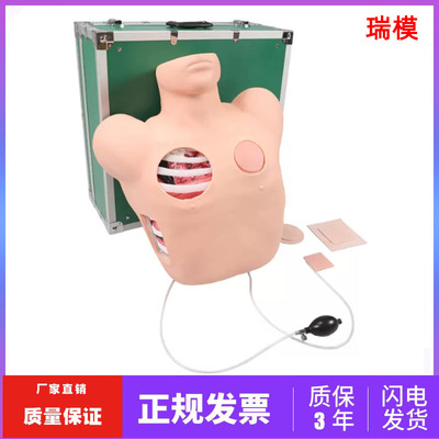 胸腔闭式引流模型 胸腔穿刺模型及气胸处理训练 医用胸腔穿刺模型