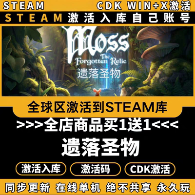 steam遗落圣物CDKEY激活码全DLC入库