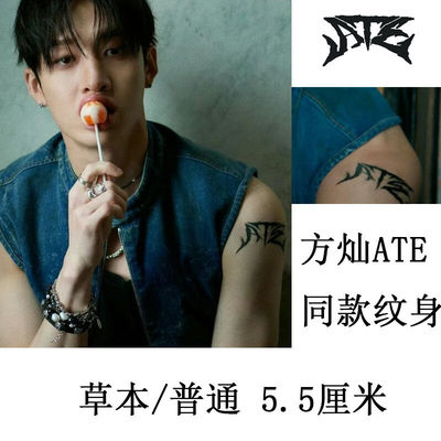方灿ATE手臂同款纹身贴草本持久防水straykids个性小众skz帅气ate