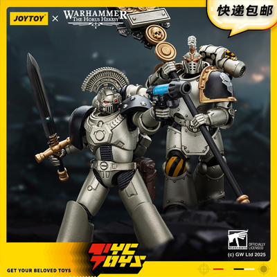 【TYCTOYS】现货 JOYTOY暗源钢铁勇士战术军士掌旗官JT01765可动