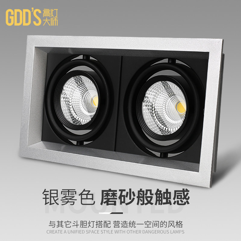 双头银色斗胆灯射灯两头嵌入式筒灯2头格栅灯led豆胆后现代港式台