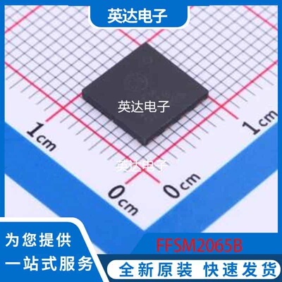 FFSM2065B 原装正品 PQFN-4(8x8)