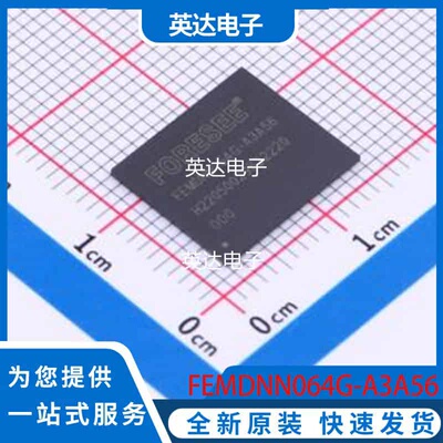 FEMDNN064G-A3A56 原装正品 FBGA-153(11.5x13)