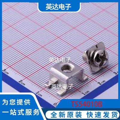 TS54010B   SMD 原装正品   焊接端子