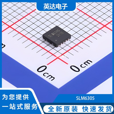 SLM6305 原装正品 TDFN-10-EP(3x3)