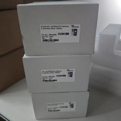 Bihl+Wiedemann必威网关模块BWU3058 24V DC AS-I 3.0  BWU2919