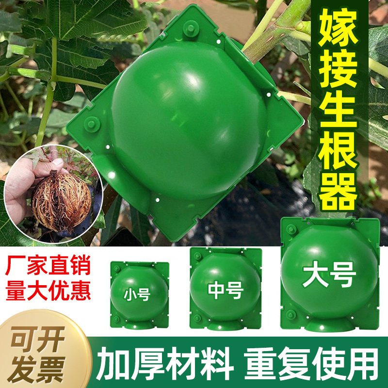 植物高压嫁接盒繁殖球移植生根盒控根器园艺花卉果树扦插育苗神器