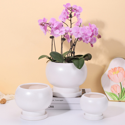 陶瓷轻奢风马卡龙色蝴蝶兰花盆