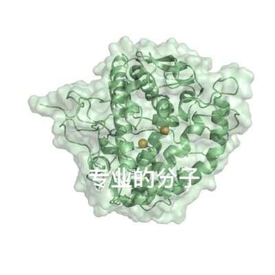 金属蛋白/肽,蛋白突变、乳酸化磷酸化甲基化泛素化-对接、模拟