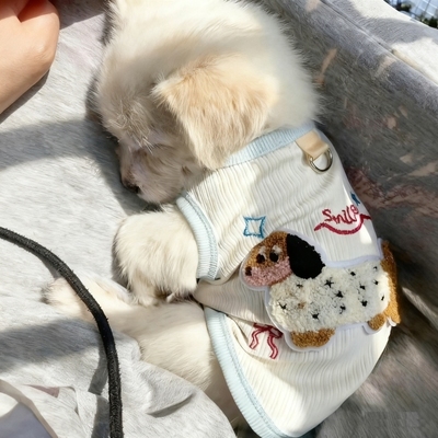 小体比熊衣服吉娃娃泰迪法斗