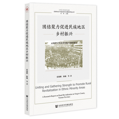 团结聚力促进民族地区乡村振兴:云南省宁洱县乡村振兴调研报告