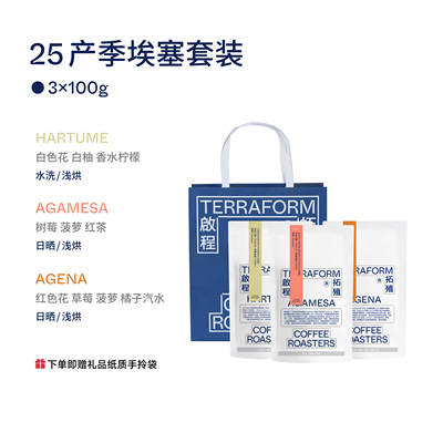 【Terraform】手冲豆埃塞产区组合囤货套装咖啡豆100g*3