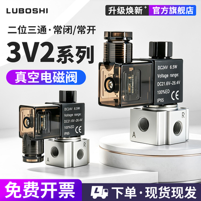路泊仕3V2电磁阀AC220V/DC24V