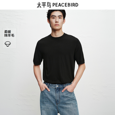 【商场同款】太平鸟男装羊毛短袖T恤冬针织内搭通勤上衣B1EEF4B25