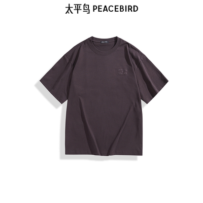 太平鸟男装T恤25春夏重磅刺绣短袖衫 B1CNF1232