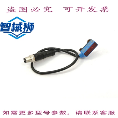 原装供应 SICK 1064607 WTB2S-2P3160 CAPTEURS 光电