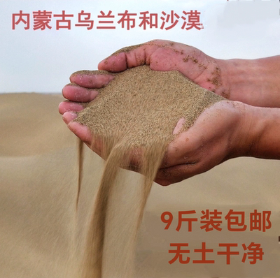 内蒙古沙漠沙干净细沙子沙袋沙风景沙玩具沙黄沙鱼缸宠物沙9斤装