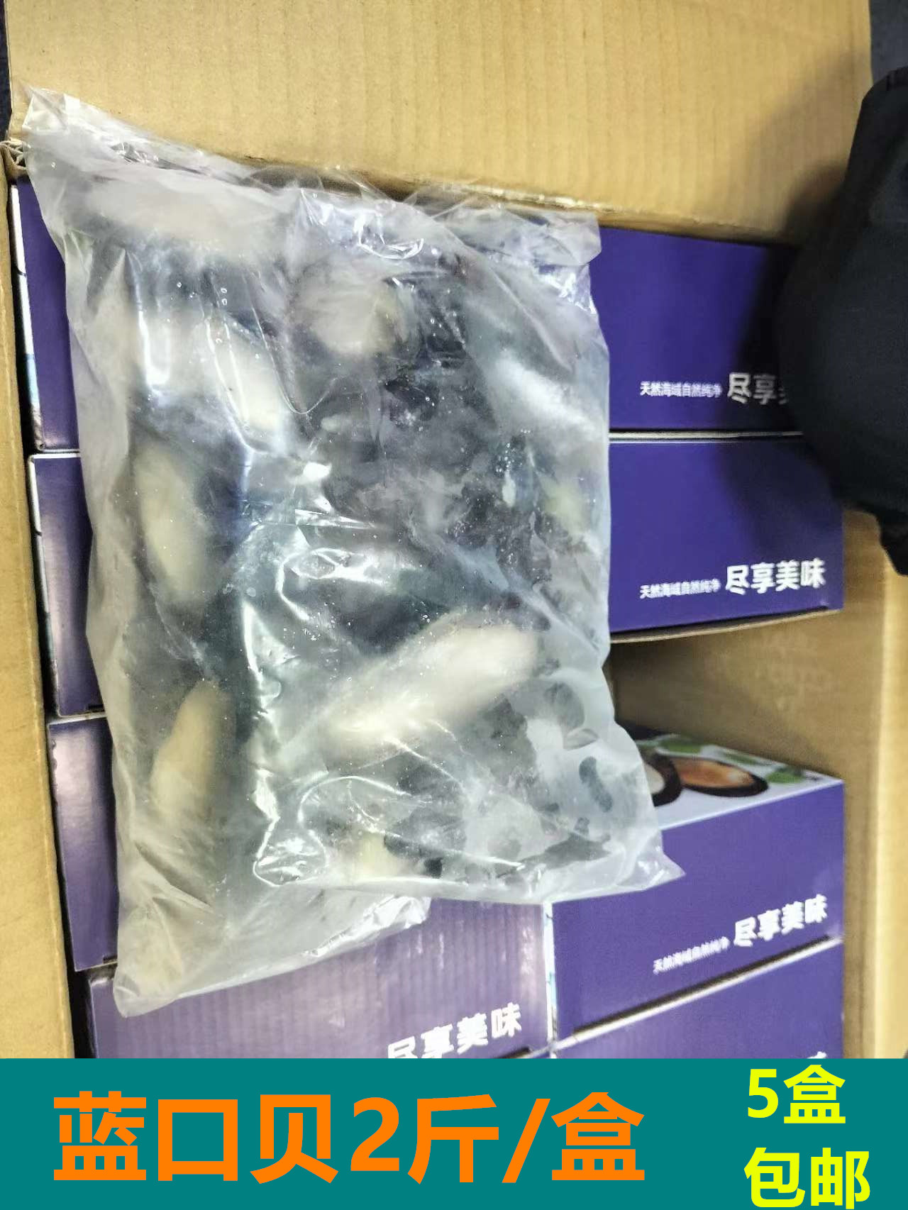 原装蓝口贝1kg/盒特大半壳贻贝速冻兰口贝20斤/箱火锅烧烤食材