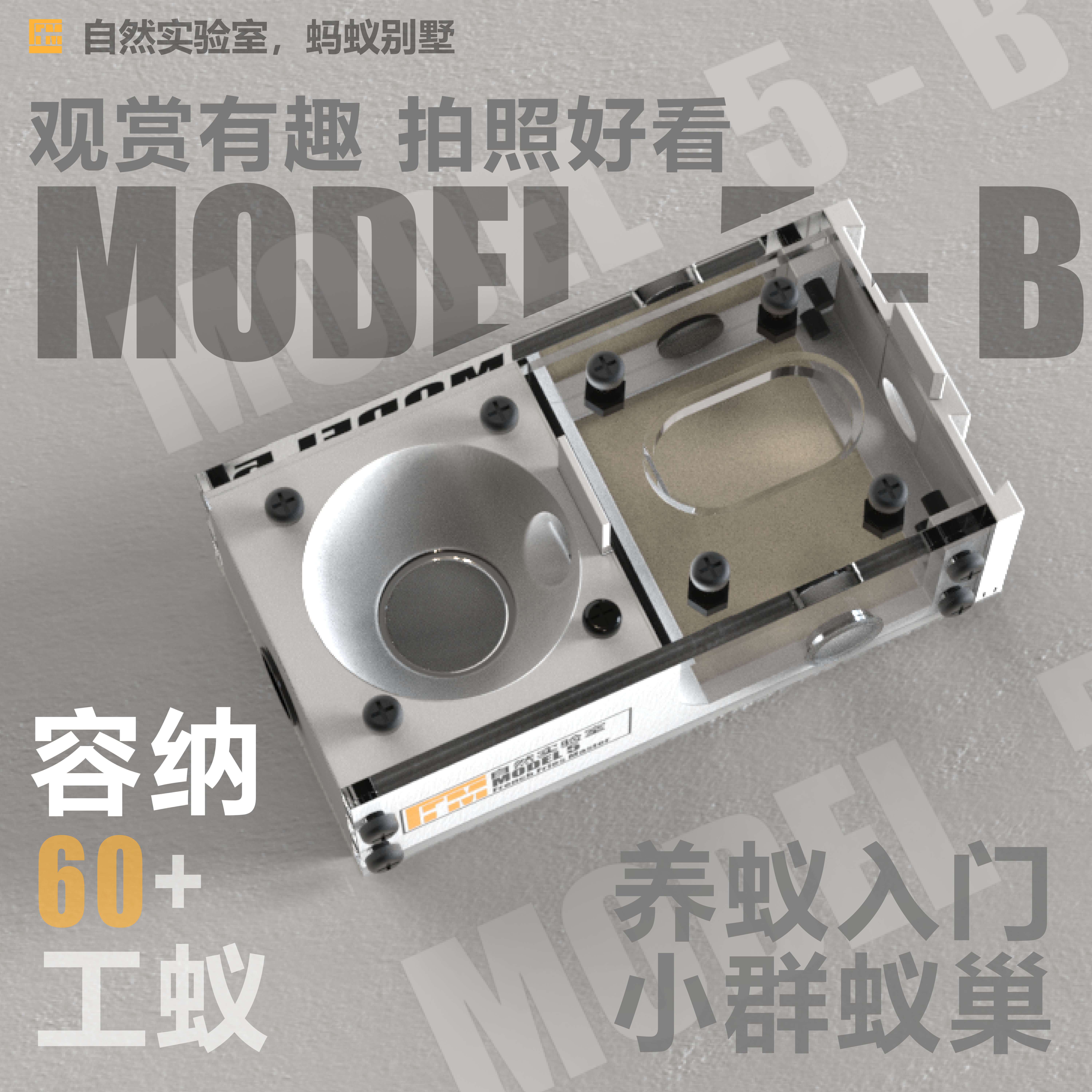 自然实验室蚁巢 Model 5(B款蚂蚁新后巢)新手养蚁套餐蚂蚁工坊