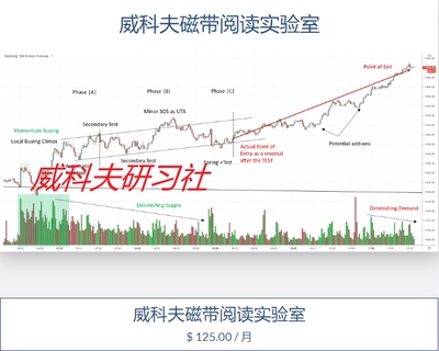 Wyckoff analytics -WYCKOFF TAPE READING LAB 中英字幕 24集