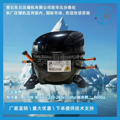 R600a系列冰箱压缩机配件