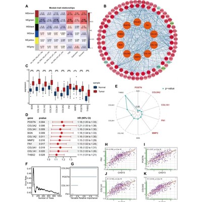 r语言安装包rstudio软件下载远程安装生信包代码报错调试问题解决