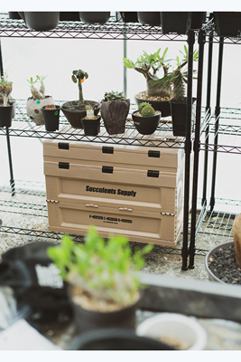 车载收纳箱DABOMB折叠沙色