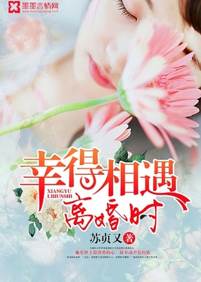 幸得相遇离婚时 非实体书  【天猫精灵有声内容】