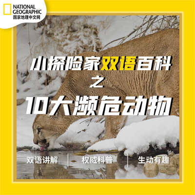 小探险家双语百科之十大濒危动物 非实体书 蜻蜓精选内容 【天猫精灵有声内容】