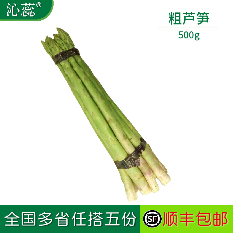【沁蕊】新鲜蔬菜新鲜大号芦笋 粗芦笋 500g