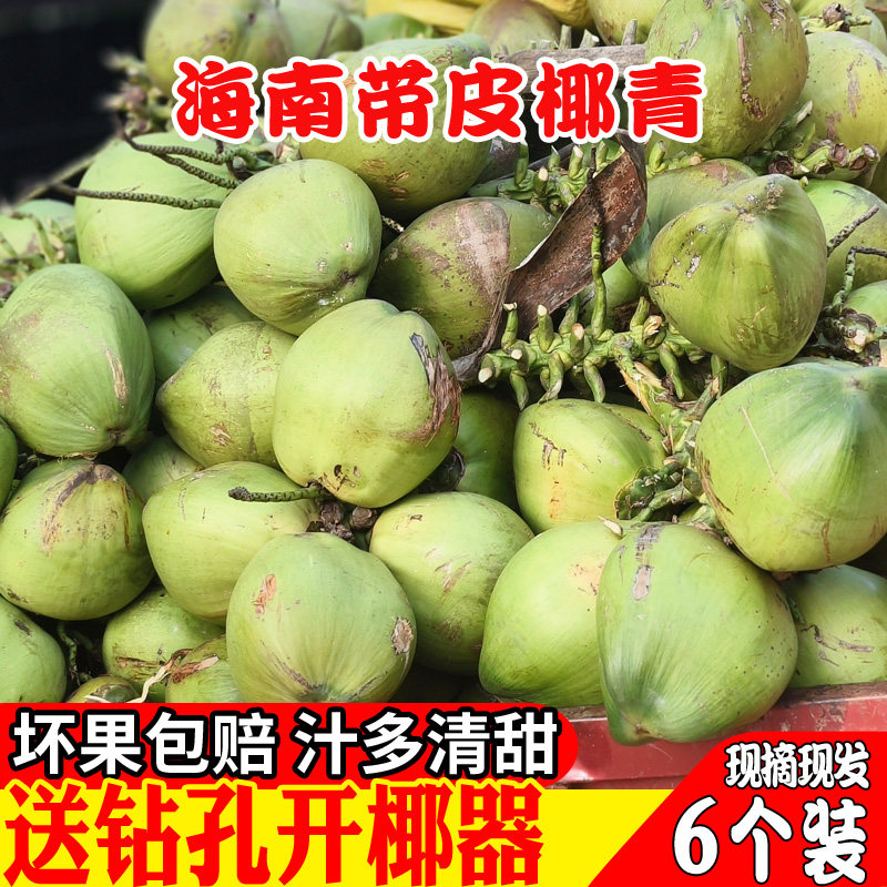 海南椰子新鲜6个装椰青带皮嫩椰大青椰子热带水果孕妇椰汁补羊水