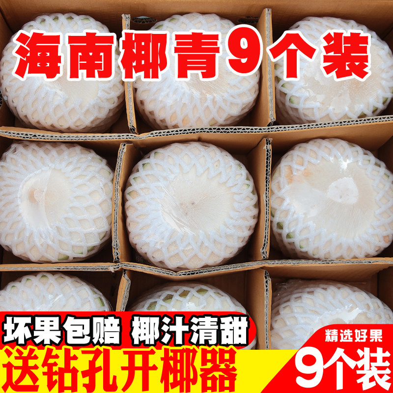 海南椰青新鲜椰子现摘现发整箱去皮削皮青椰蛋孕妇水果9个装特产