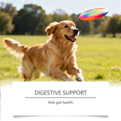 Dog joints take care of soft particles, warm formulas take c
