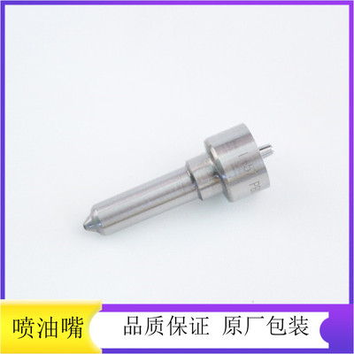 电控喷油器 L157PBD  适用于双龙享御爱腾 德尔福系统 电控喷油嘴