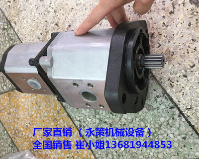 双联小型新款齿轮油泵13齿花键YCB5020高压油泵工程齿轮泵输油泵