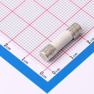 0215010.HXP 一次性保险丝 250V