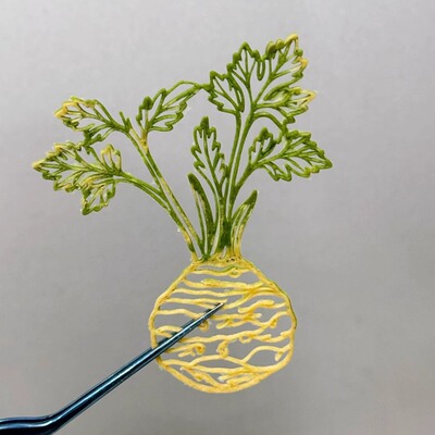 创意蕾丝硅胶烘焙模具镂空胡萝卜法餐冷菜点缀脆片树叶烘焙磨具