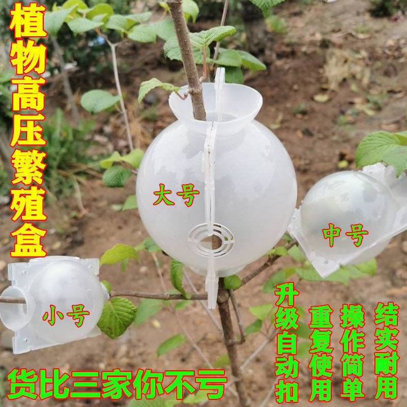 果树植物扦插嫁接盒生根繁殖高压繁殖盒高压包枝球生根育苗器盆景