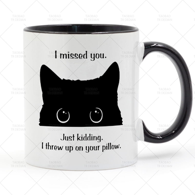 Just kidding I threw 猫咪陶瓷马克杯