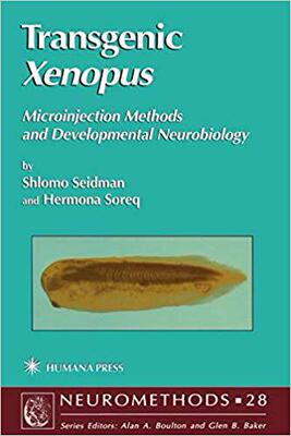 【预订】Transgenic Xenopus 9781617370458