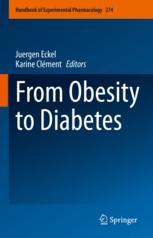 【预订】From Obesity to Diabetes 9783030999940
