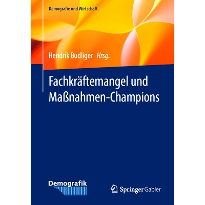 预订 Fachkräftemangel und Maßnahmen-Champions: 9783658453633