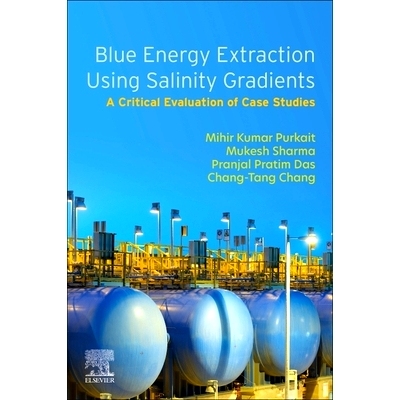 电子书 Blue Energy Extraction Using Salinity  Gradients: A Critical Evaluation of Case Studies 利用盐度梯度提取蓝色能源