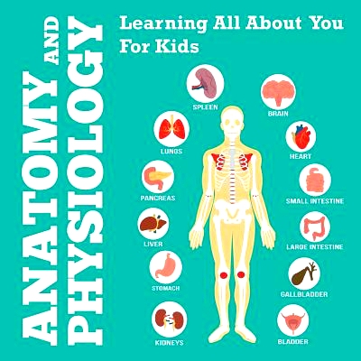 预订 Anatomy and Physiology: Learning All about You for Kids: 9781681459974