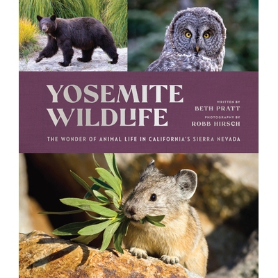 预订 Yosemite Wildlife: The Wonder of Animal Life in California’s Sierra Nevada: 9781951179267