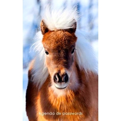 预订 Agenda de Passwords: Agenda Para Enderecos Electronicos E Passwords - Capa Ponei Pequeno: 9781542901819