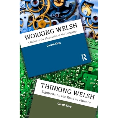 预订 Working/Thinking Welsh: Two Volume Set 威尔士语的工作/思考 2卷集: 9781032754888